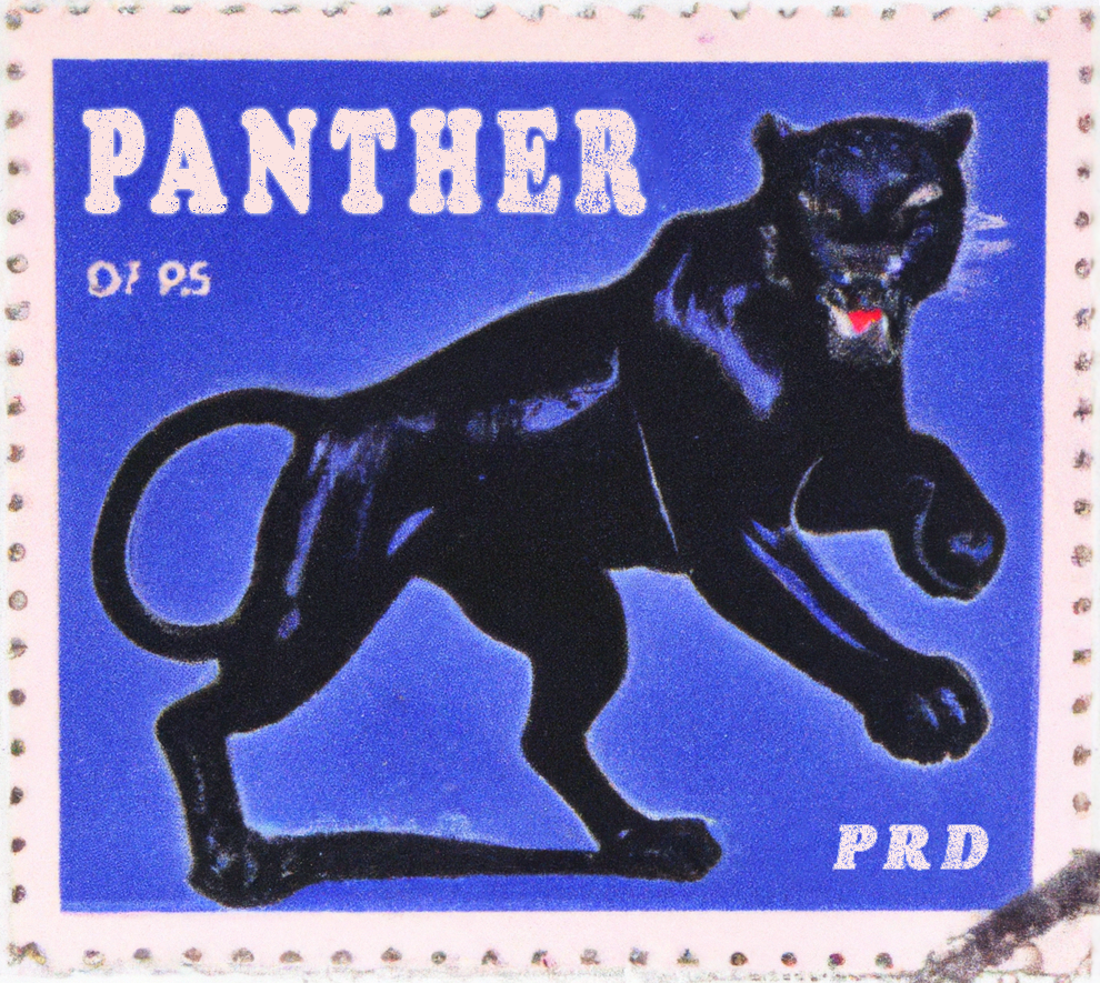 RidePanther - Melbourne's Surron Specialists